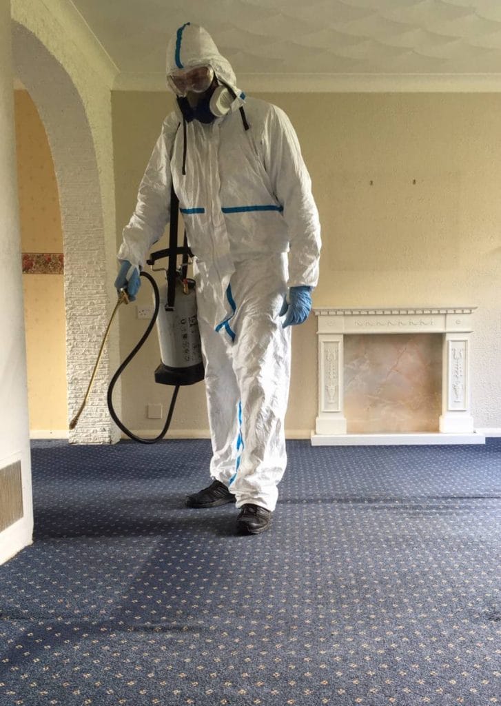 How Do Dogs Catch Fleas? • Pest-Tech • Flea Treatments