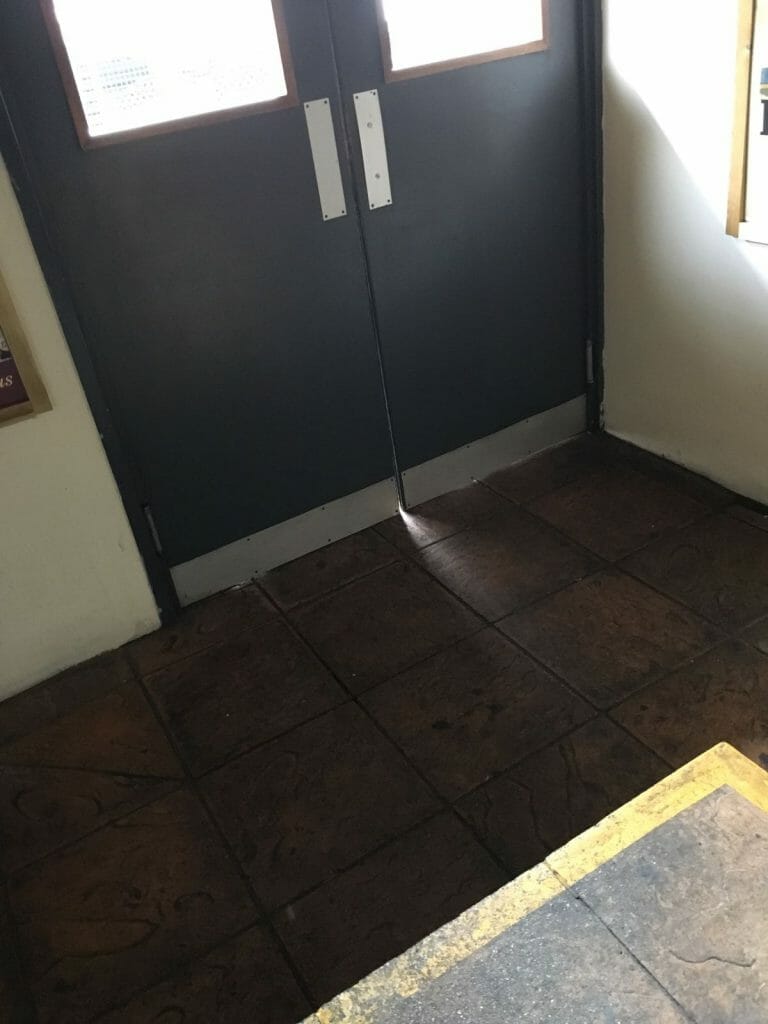 Rodent Entry Points - The Complete Guide • Pest-Tech